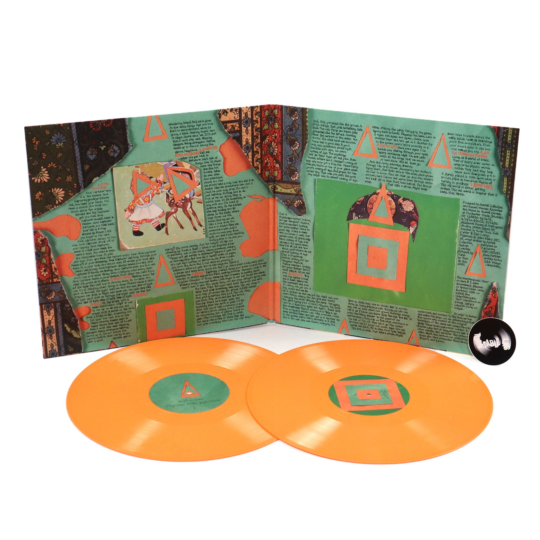 Animal Collective: Isn't It Now? (Indie Exclusive Colored Vinyl) Vinyl ...