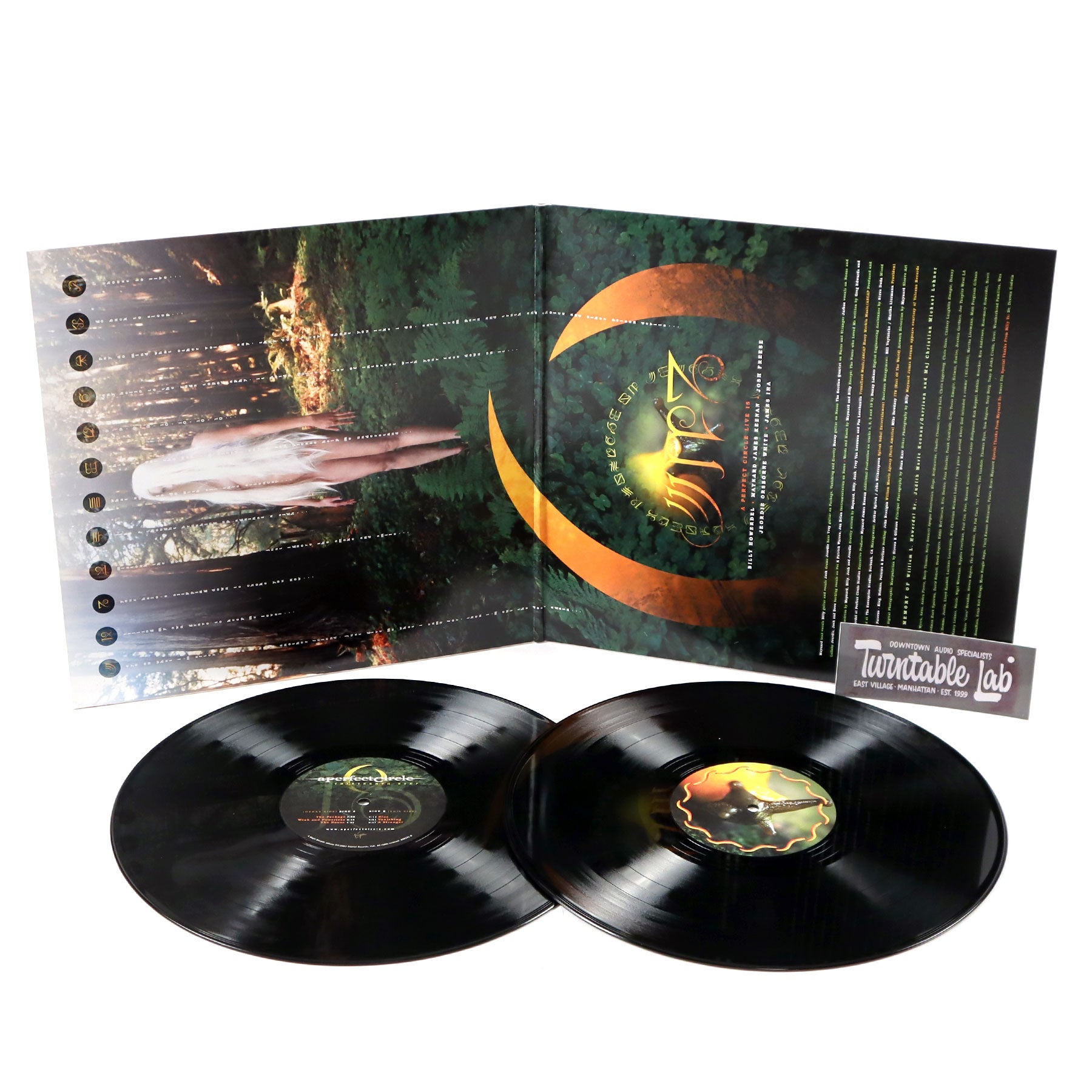 A Perfect Circle: Thirteenth Step Vinyl 2LP — TurntableLab.com