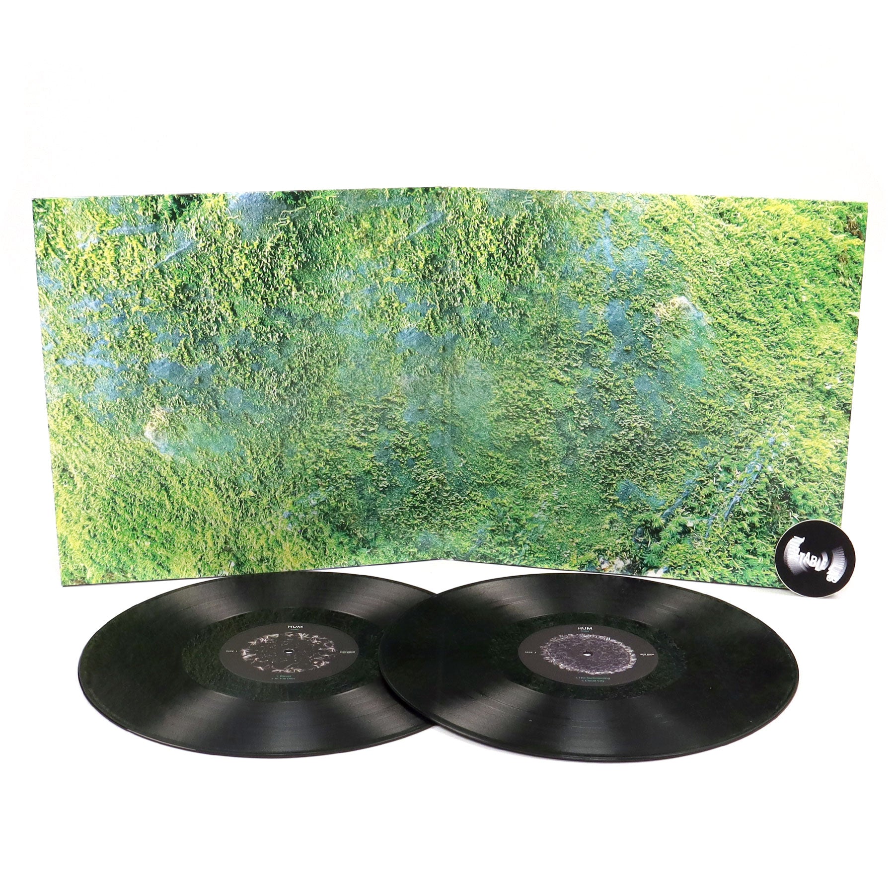 Hum: Inlet (180g) Vinyl 2LP — TurntableLab.com