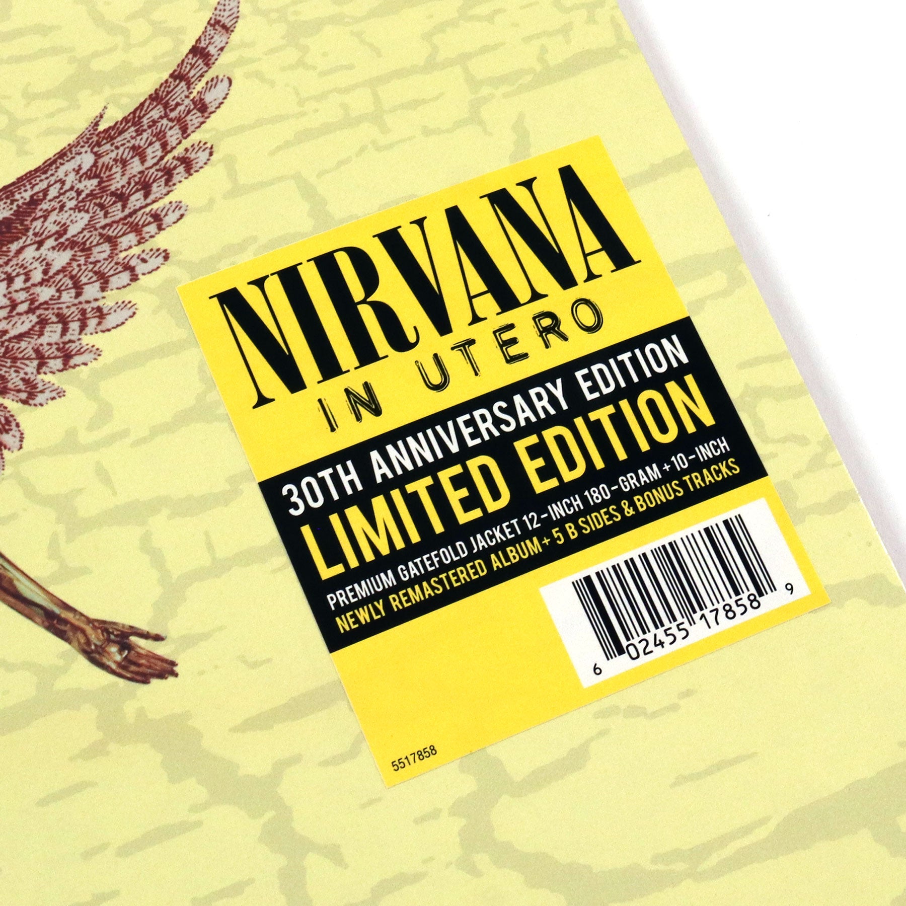 Nirvana: In Utero - 30th Anniversary Edition (180g) Vinyl LP+10 ...