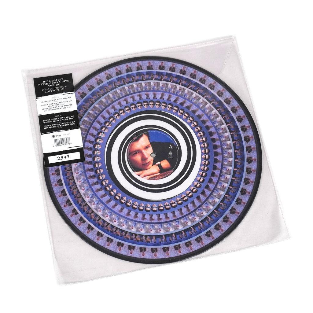 Rick Astley: Never Gonna Give You Up (Zoetropic) Vinyl 12 ...