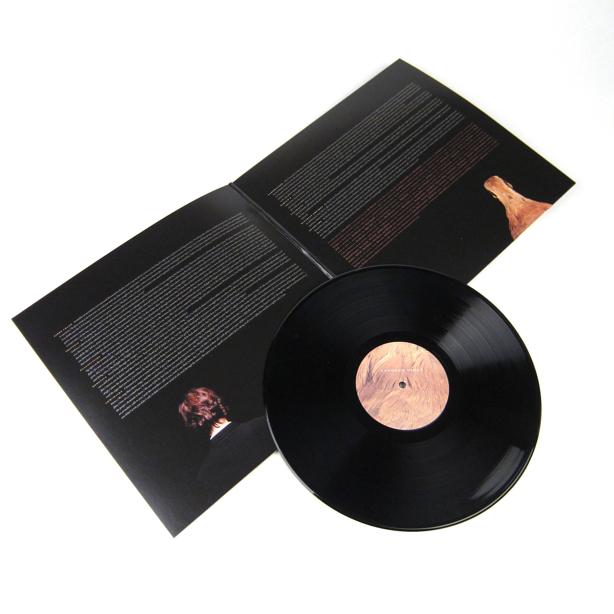 Andrew Bird: Armchair Apocrypha (180g) Vinyl LP — TurntableLab.com