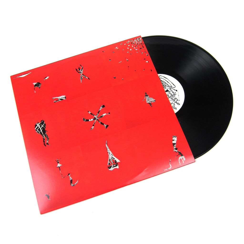 Animal Collective: Hollinndagain Vinyl LP – TurntableLab.com
