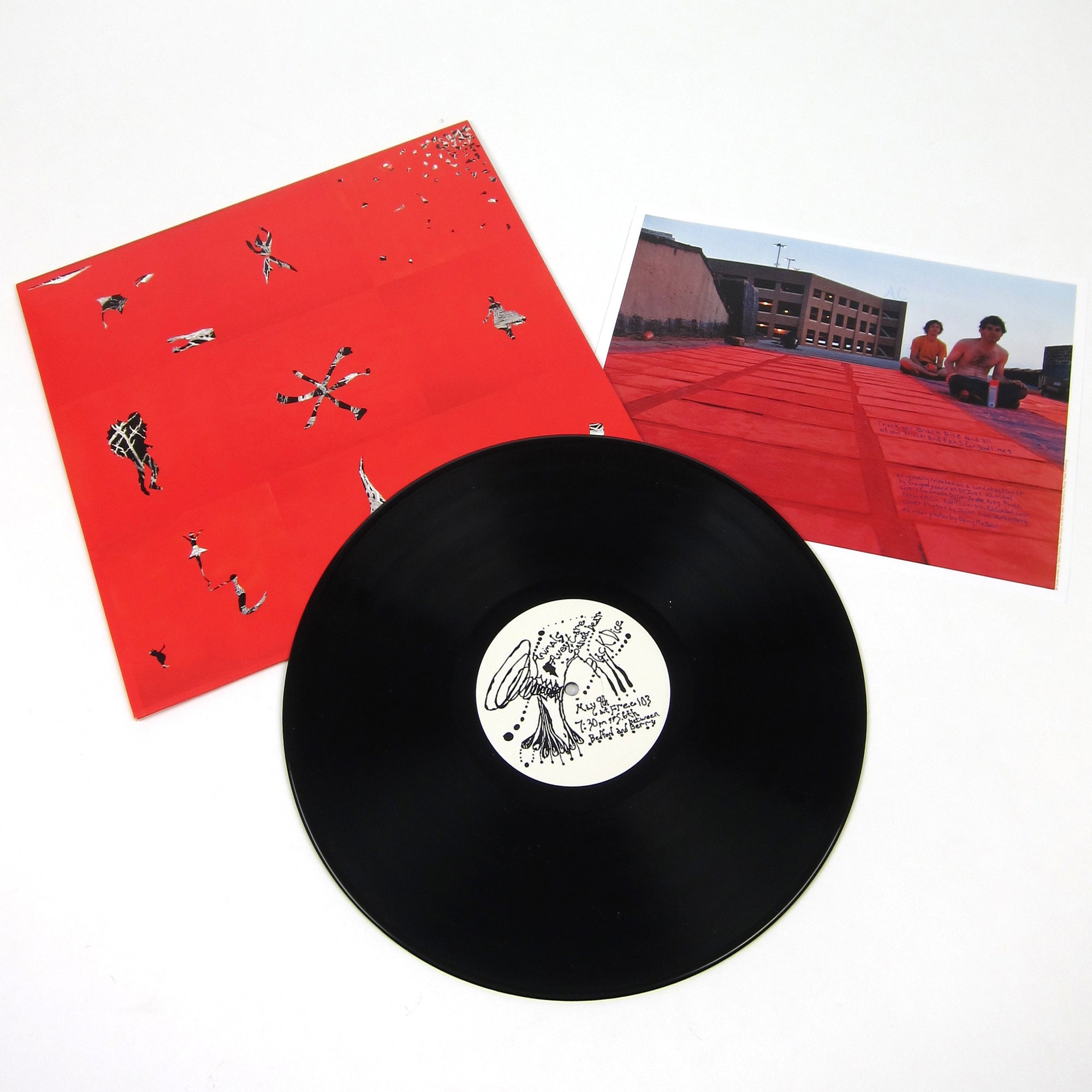 Animal Collective: Hollinndagain Vinyl LP — TurntableLab.com
