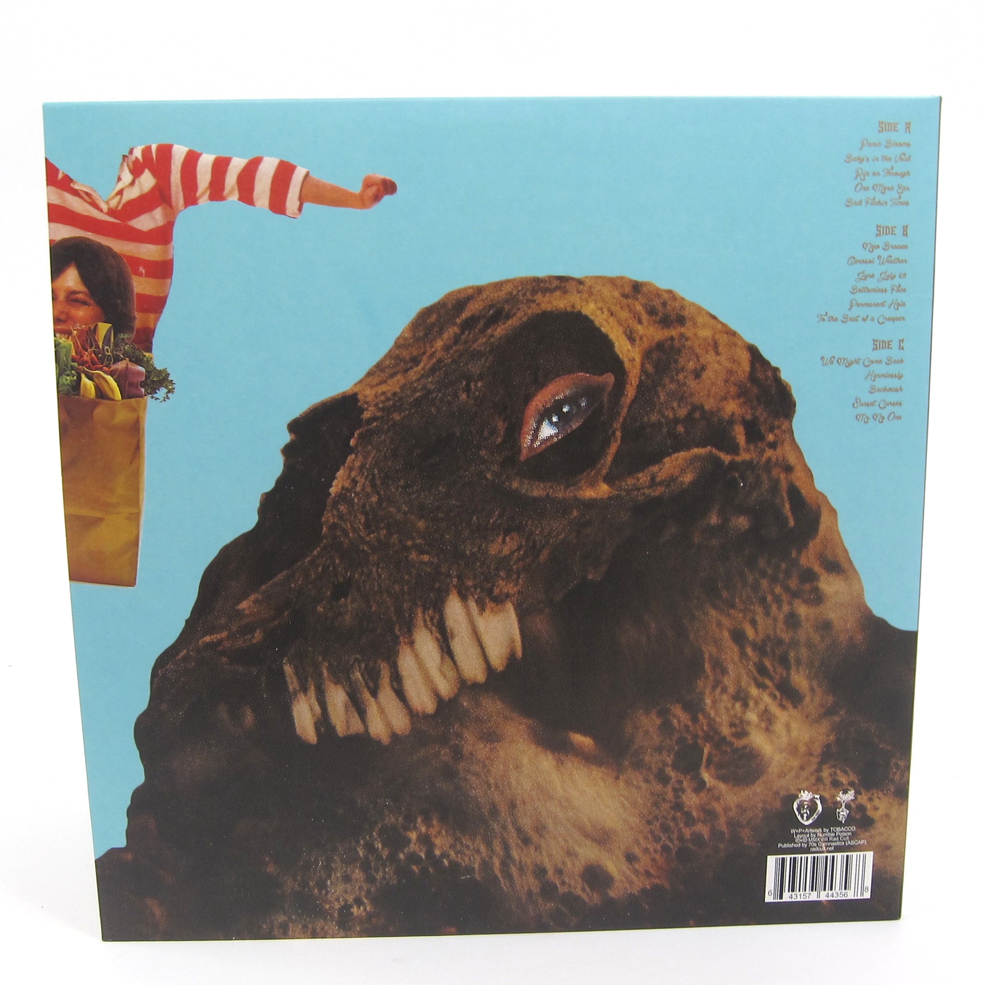 Black Moth Super Rainbow: Panic Blooms (Colored Vinyl) Vinyl 2LP ...