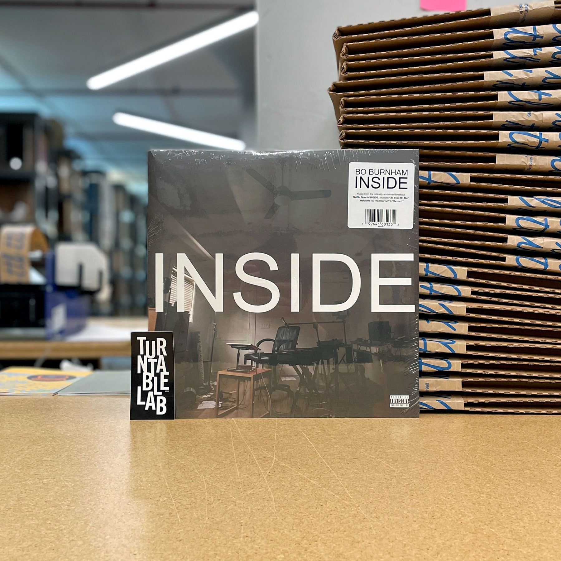 Bo Burnham: Inside (The Songs) Vinyl 2LP — TurntableLab.com