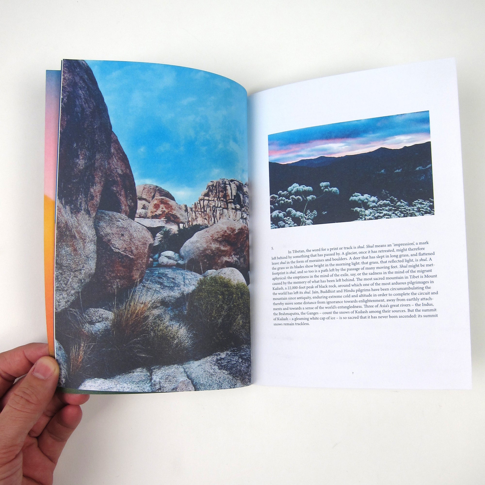 Bonobo: Migration Deluxe Edition (180g) Vinyl 2LP — TurntableLab.com