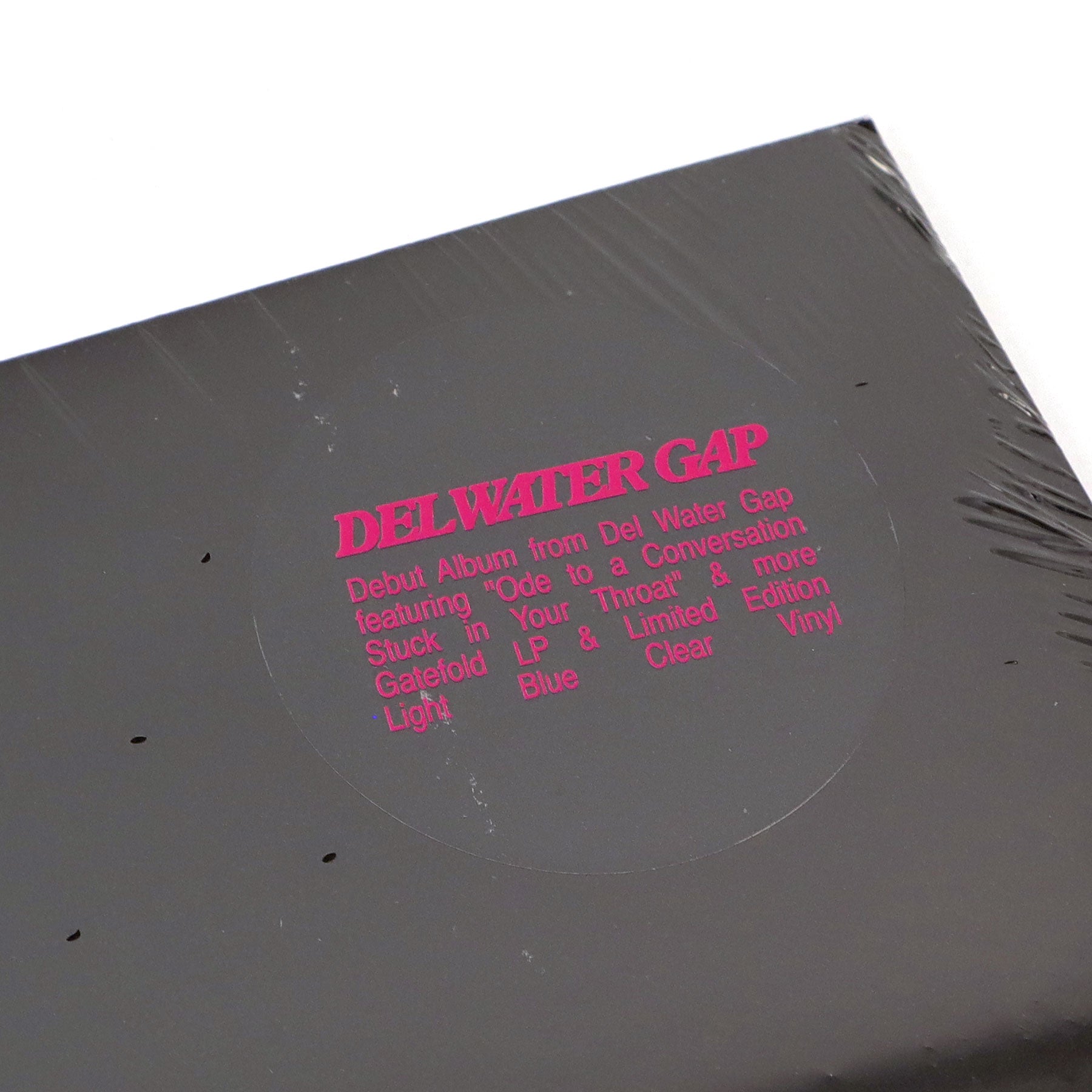 Del Water Gap: Del Water Gap (Colored Vinyl) Vinyl LP — TurntableLab.com
