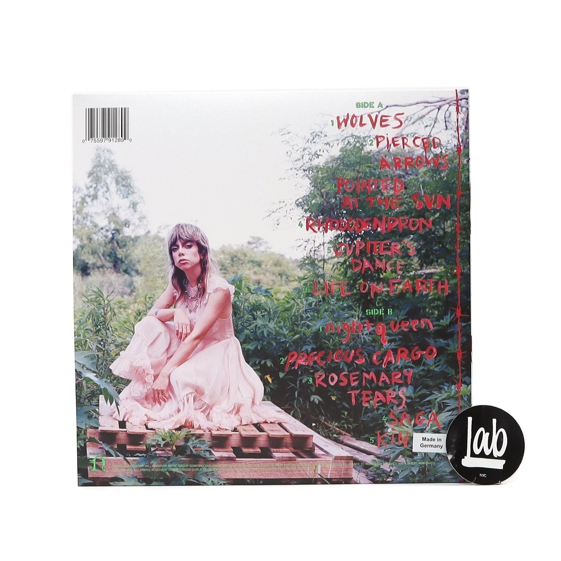 Hurray For The Riff Raff: Life On Earth (Indie Exclusive Colored Vinyl ...