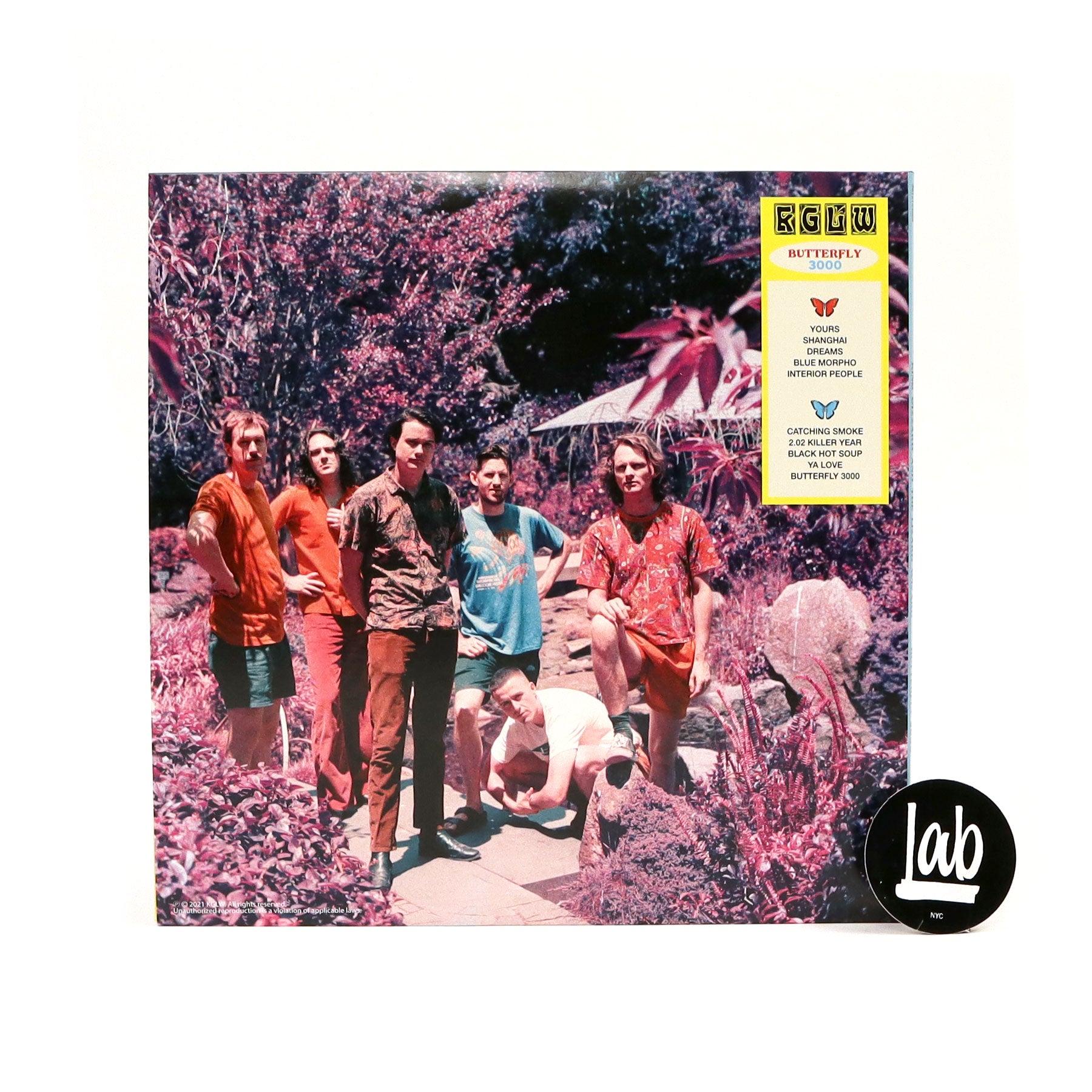 King Gizzard And The Lizard Wizard: Butterfly 3000 - English Cover (Co ...