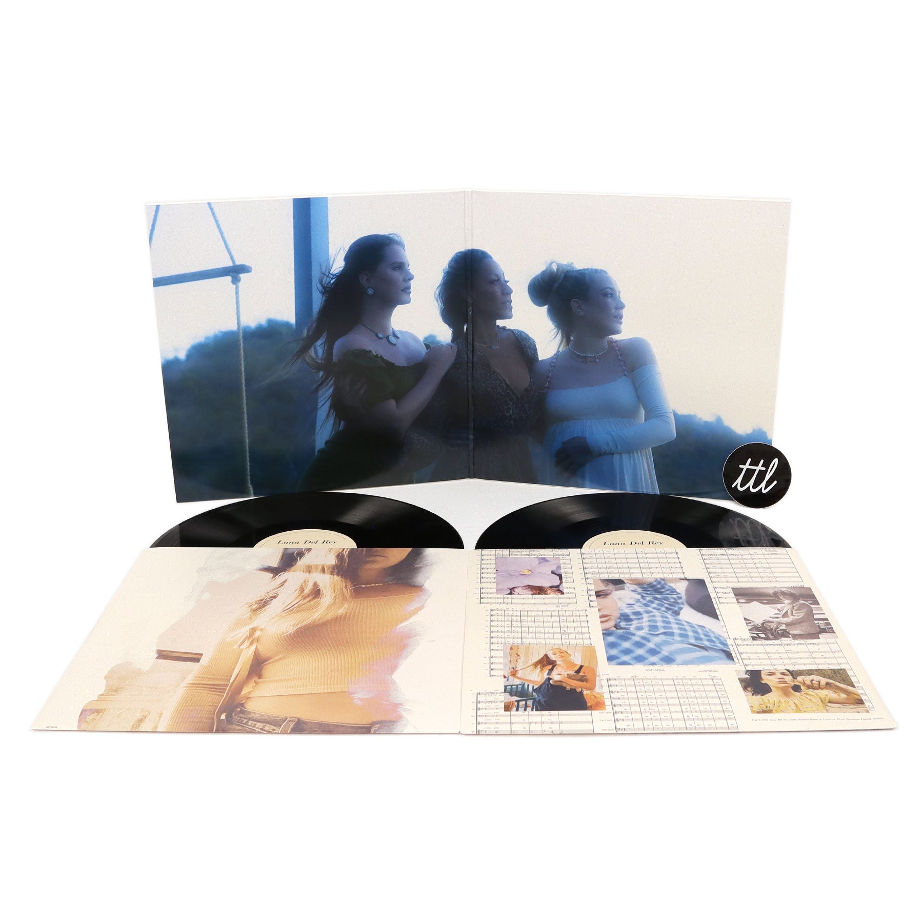 Lana Del Rey: Blue Banisters Vinyl 2LP — TurntableLab.com
