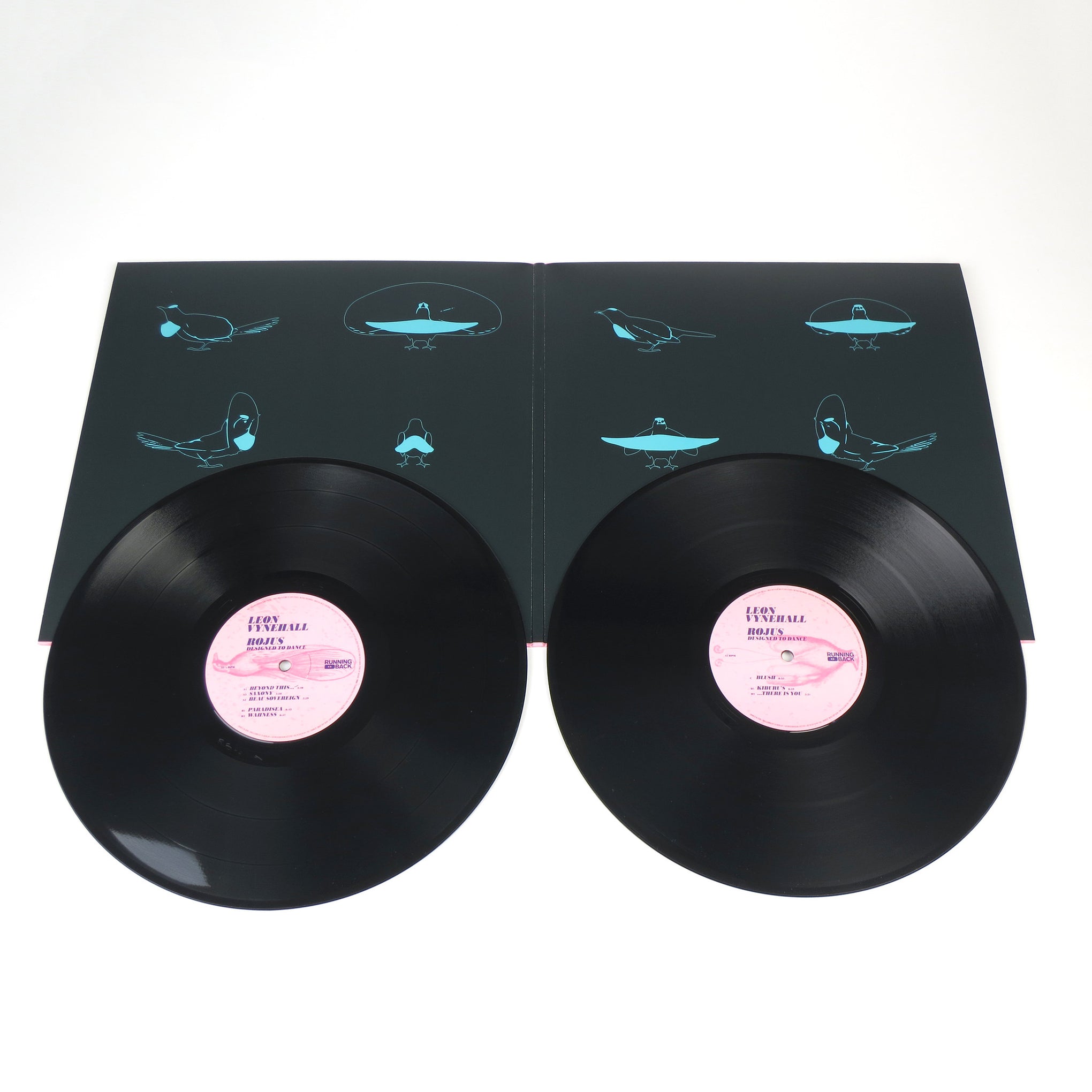 Leon Vynehall: Rojus (Designed To Dance) Vinyl 2LP — TurntableLab.com