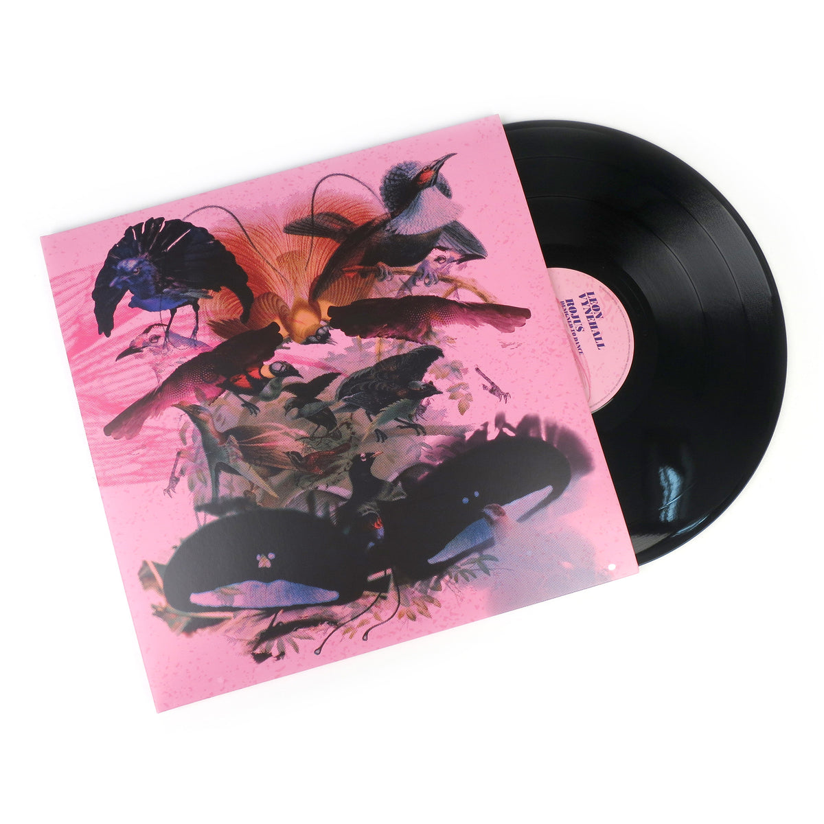 Leon Vynehall: Rojus (Designed To Dance) Vinyl 2LP — TurntableLab.com