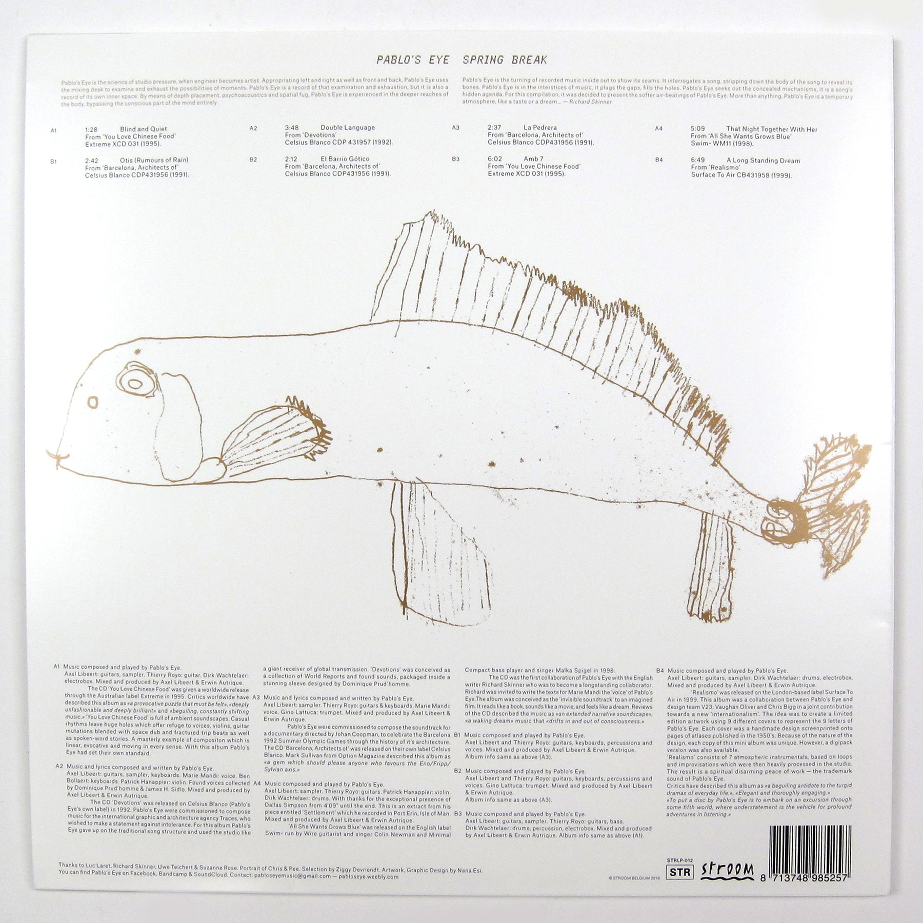 Pablo's Eye: Spring Break Vinyl LP — TurntableLab.com