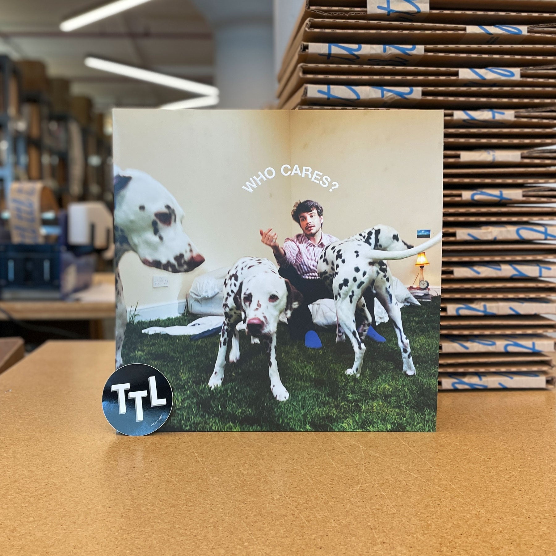 Rex Orange County: Who Cares? Vinyl LP — TurntableLab.com