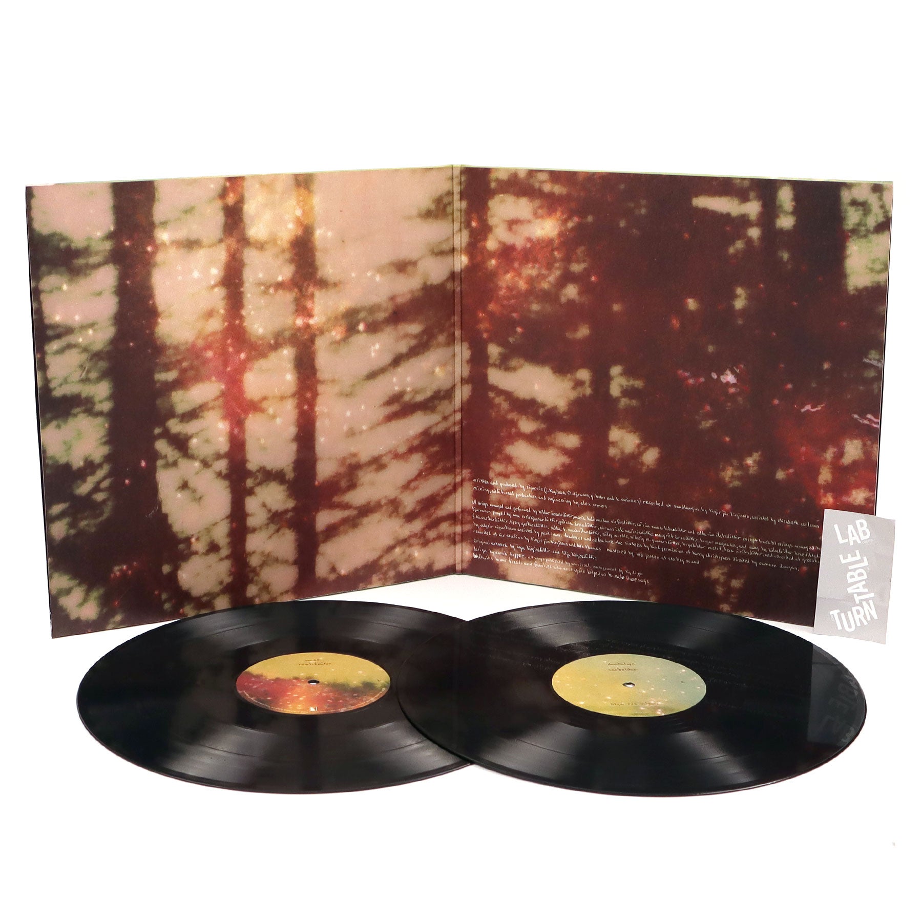 Sigur Ros: Valtari Vinyl 2LP — TurntableLab.com