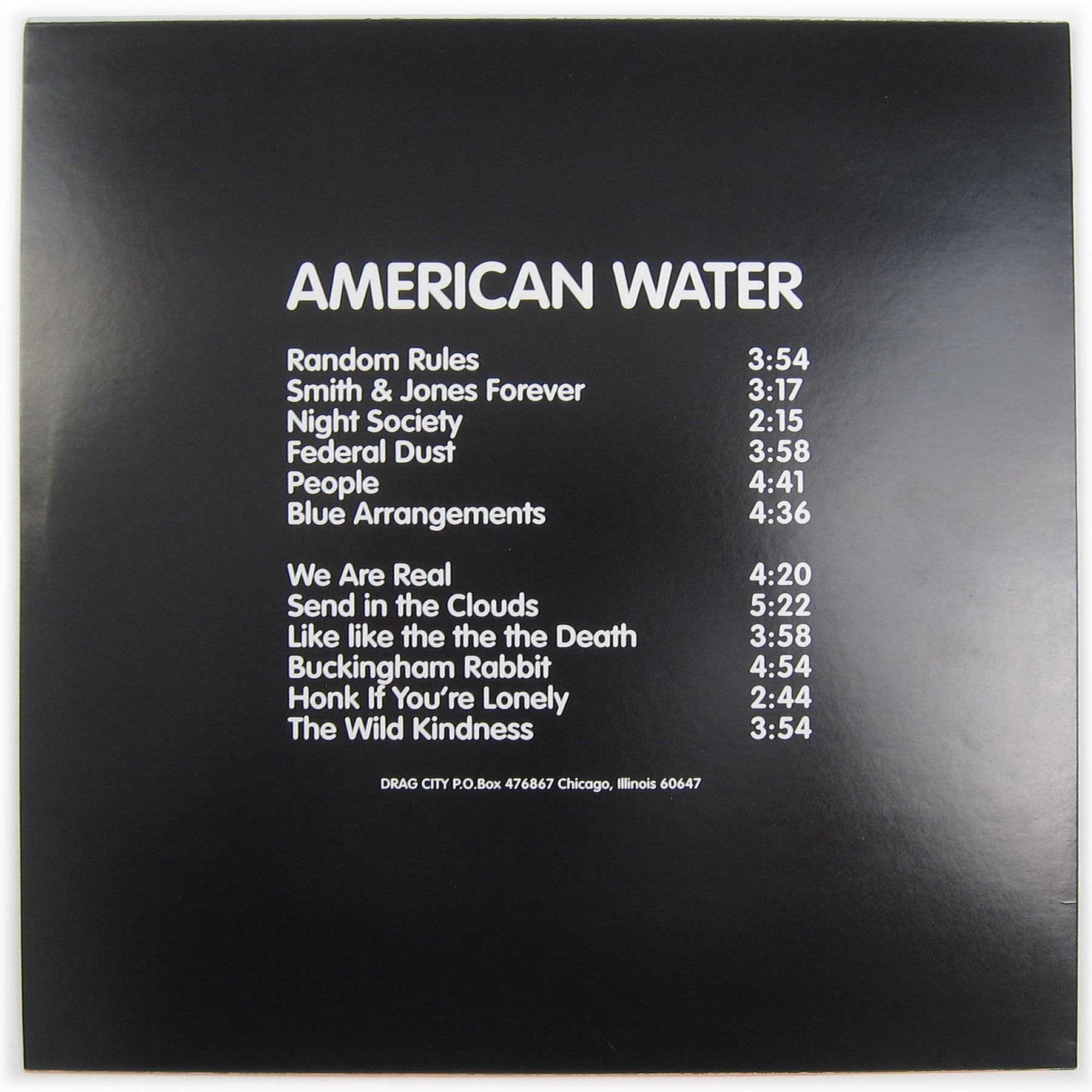 Silver Jews: American Water Vinyl LP — TurntableLab.com