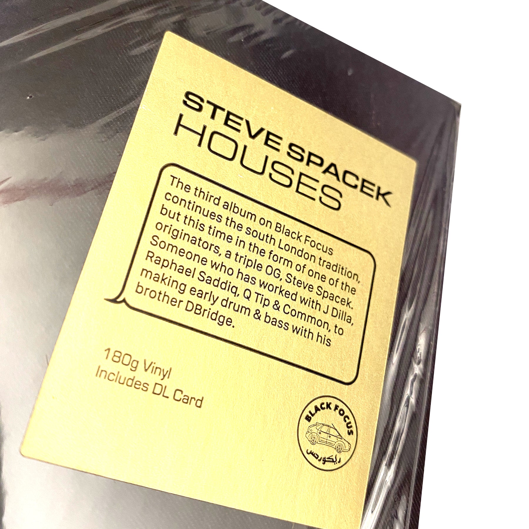 Steve Spacek: Houses (180g) Vinyl LP — TurntableLab.com