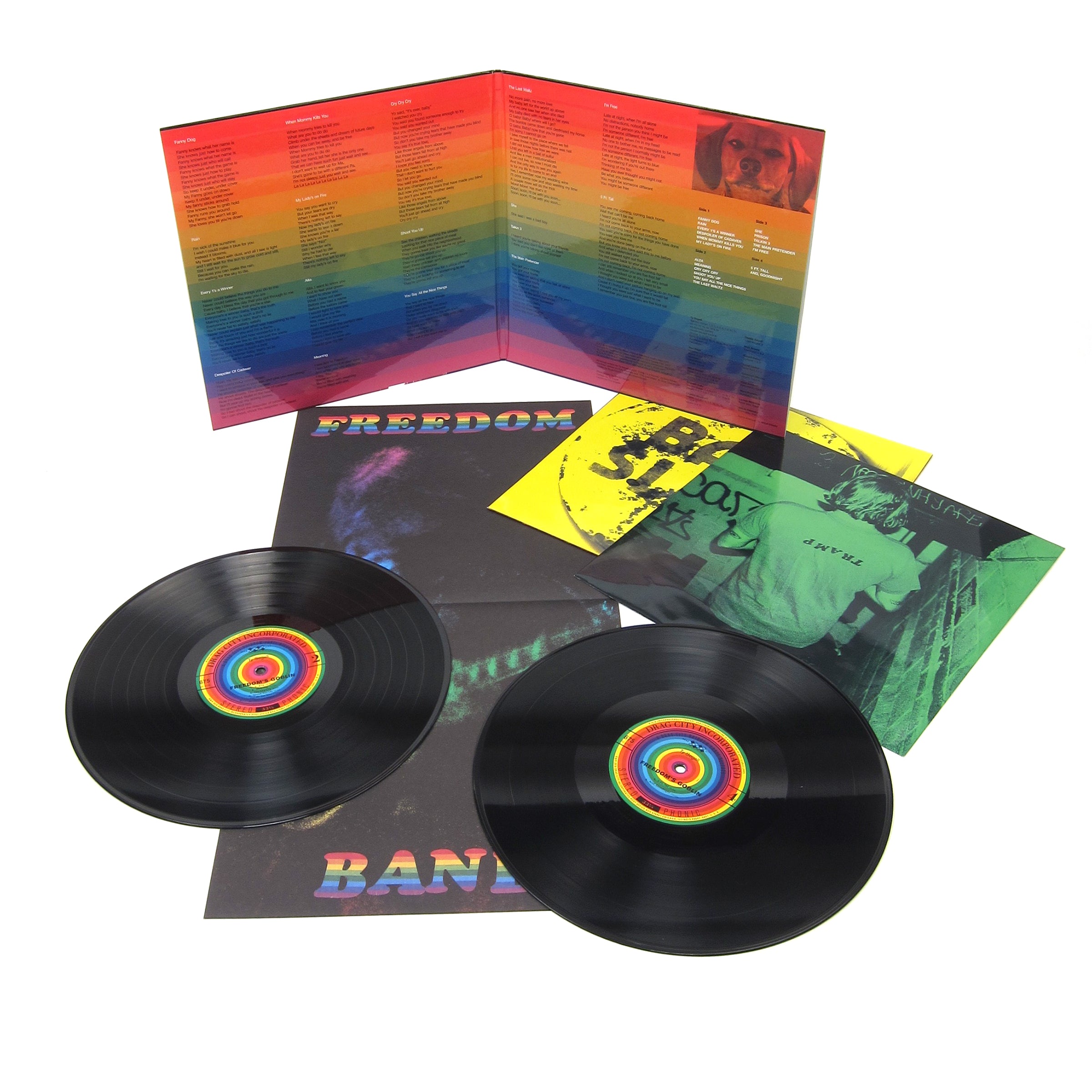 Ty Segall: Freedom’s Goblin Vinyl 2LP — TurntableLab.com